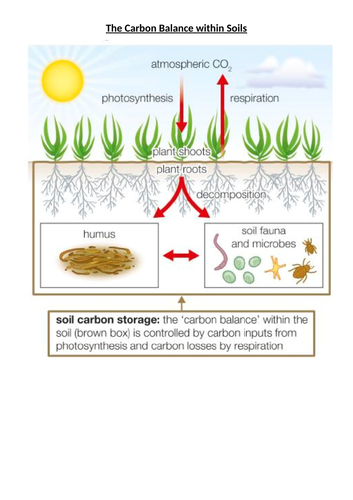 6-7 – A Balanced Carbon Cycle (The Carbon Cycle and Energy Security ...