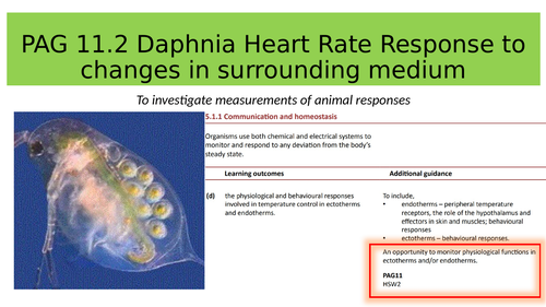 PAG 11.2 Daphnia Heart Rate Response to Changes in Surrounding Medium ...