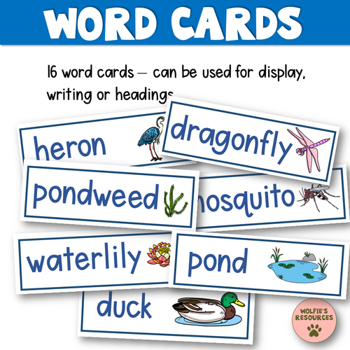Pond Life Activities KS1 | Teaching Resources
