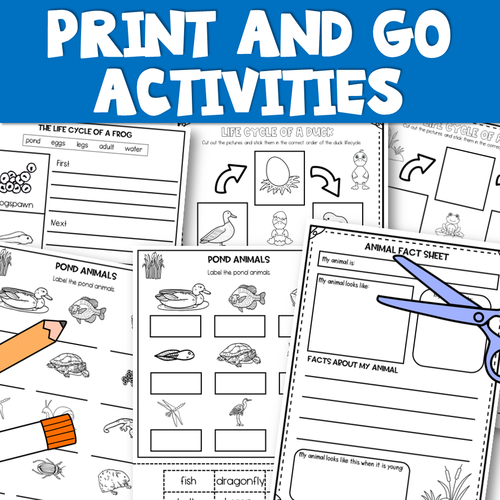 Pond Life Activities KS1 | Teaching Resources