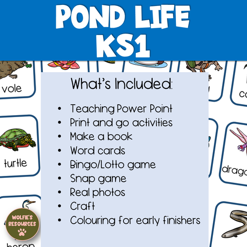 Pond Life Activities KS1 | Teaching Resources
