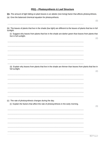 L1 2 40 2 42b Structure Of A Leaf Igcse Biology 9 1 Edexcel