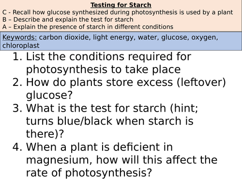 L4 - 2.23 - Testing the Leaf for Starch (IGCSE Biology 9-1 Edexcel ...