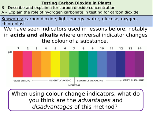L6 - 2.45B - Hydrogen-Carbonate Indicator Practical (IGCSE Biology 9-1 ...
