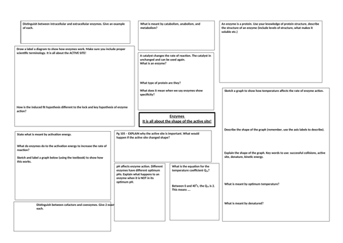 A Level Biology Enzymes Study Mat | Teaching Resources