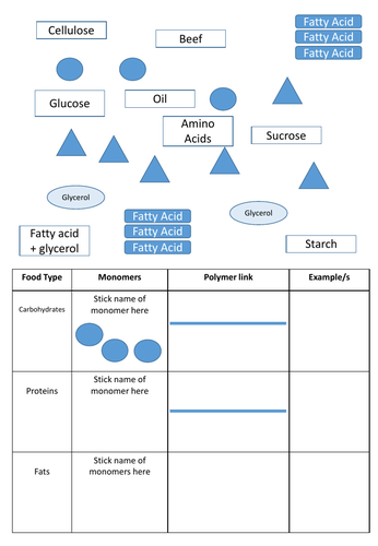 Structures of carbohydrates, proteins and lipids OCR GCSE | Teaching ...