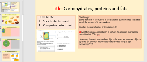 Structures of carbohydrates, proteins and lipids OCR GCSE | Teaching ...
