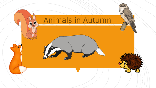 Autumn Animals Lesson Resources EYFS KS1 | Teaching Resources