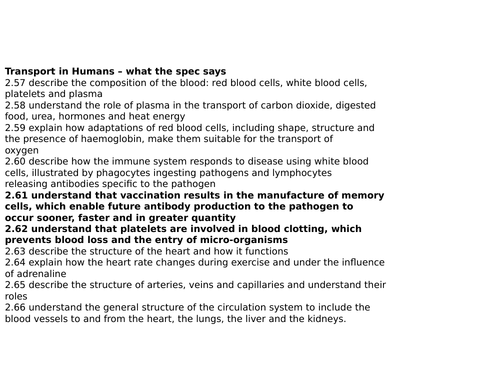 L2 - 2.62 - White Blood Cells (IGCSE Biology 9-1 Edexcel) | Teaching ...
