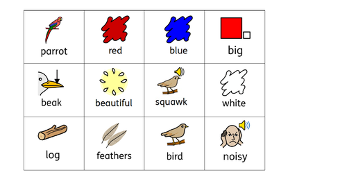 Pirate Vocab Activity for P levels /Stage 1 Wigit Symbols SEN MLD SLD ...