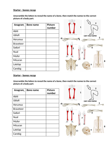 Movement and chicken wing dissection - KS3 science | Teaching Resources
