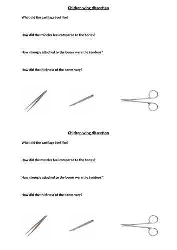 Movement and chicken wing dissection - KS3 science | Teaching Resources