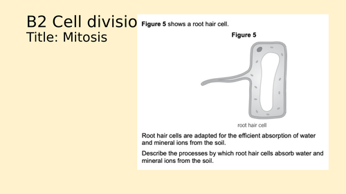 Cell division - GCSE biology AQA B2 | Teaching Resources