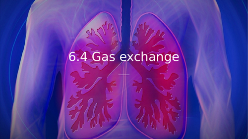 IBDP Biology 6.4 Gas exchange | Teaching Resources