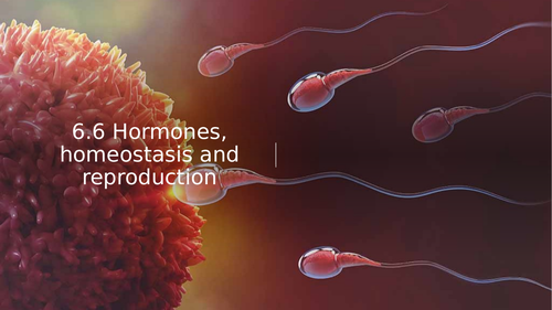 IBDP Biology 6.6 Hormones, homeostasis and reproduction | Teaching ...