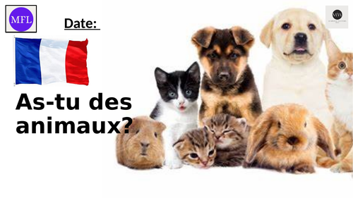 FRENCH PETS | Teaching Resources