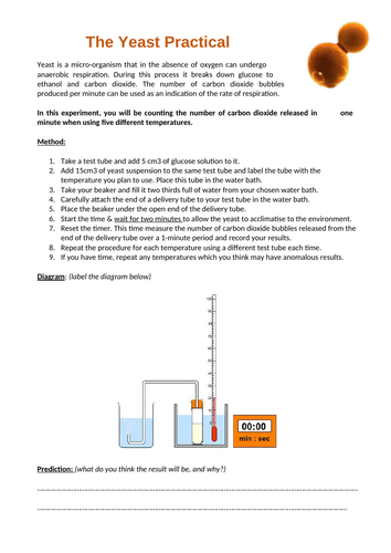 Respiration - Complete lessons for Edexcel IGCSE Biology | Teaching ... Respiration - Complete lessons for Edexcel IGCSE Biology | Teaching ...