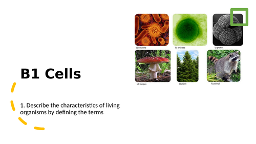 IGCSE Biology - B1 Cells | Teaching Resources