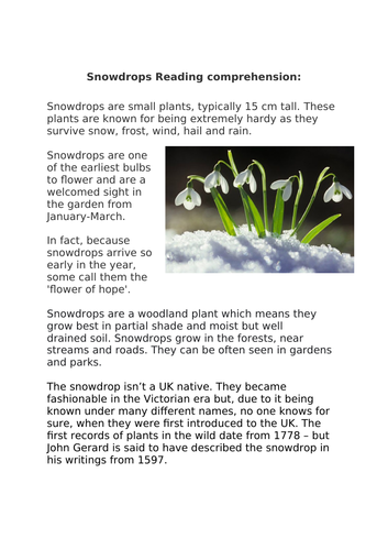 Snowdrops reading comprehension differentiated & wildflower checklist ...