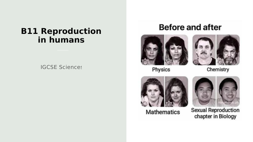 IGCSE Biology - B11 Reproduction in human | Teaching Resources