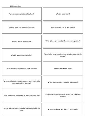 Biology GCSE Year 10 Flashcards | Teaching Resources