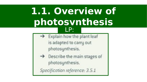 AQA A-level Biology: An intro to photosynthesis | Teaching Resources