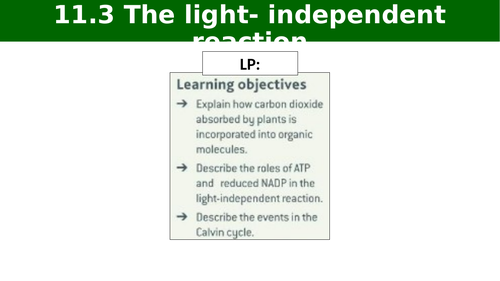 AQA A-level Biology: Photosynthesis Light Independent reaction ...