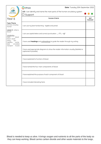 Year 6 - The Body - Full Planning and Resources | Teaching Resources