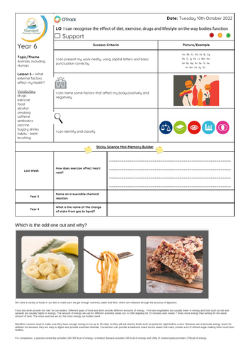 Year 6 - The Body - Full Planning and Resources | Teaching Resources