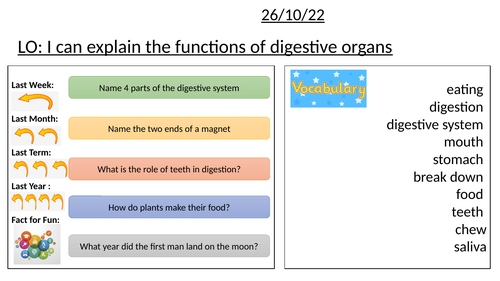 Year 4 - Teeth & Digestion - Full Planning & Resources | Teaching Resources