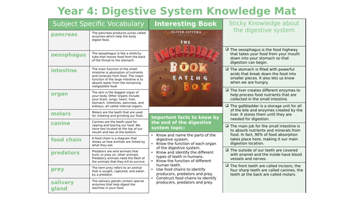Year 4 - Teeth & Digestion - Full Planning & Resources | Teaching Resources