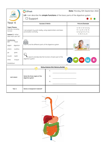 Year 4 - Teeth & Digestion - Full Planning & Resources | Teaching Resources