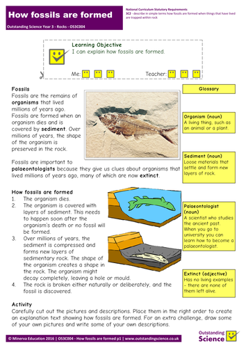 Year 3 - Rocks and Soils - FULL PLANNING AND RESOURCES | Teaching Resources