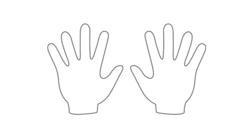 Whole School Science Day - Pattern Seeking Primary Science Enquiry ...