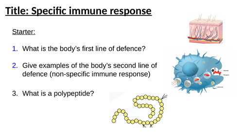 A-Level BIO Immunity - specific immune response | Teaching Resources