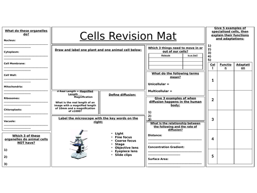 KS3 Cells Revision Mat | Teaching Resources