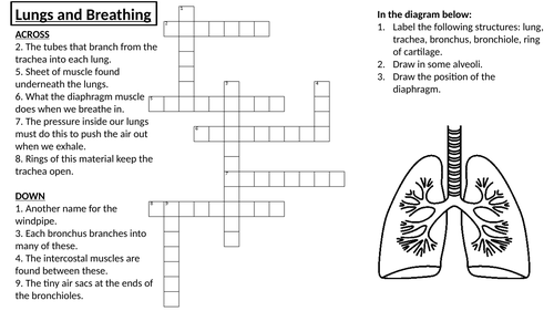 Lungs and Breathing | Teaching Resources