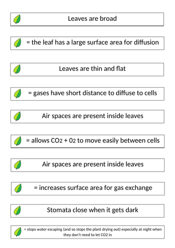 Gas Exchange - A complete set of resources for Edexcel IGCSE Biology ...