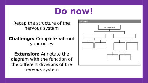 AQA GCSE Psychology: The autonomic nervous system and the fight or ... AQA GCSE Psychology: The autonomic nervous system and the fight or ...