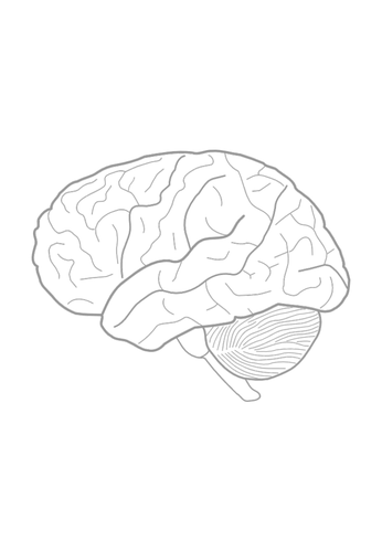 AQA GCSE Psychology: Structure and function of the brain. (Lesson 6 of ...