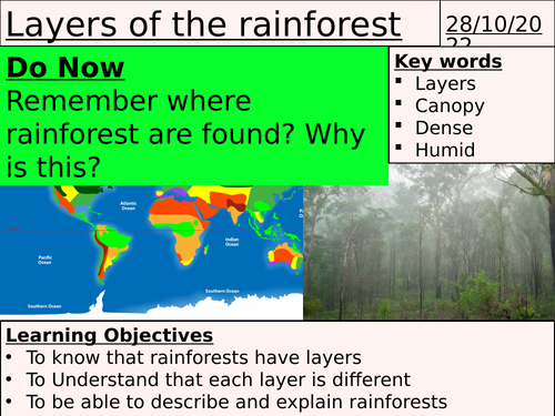 The Amazon Rainforest | Teaching Resources