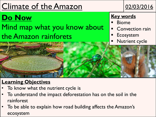 The Amazon Rainforest | Teaching Resources