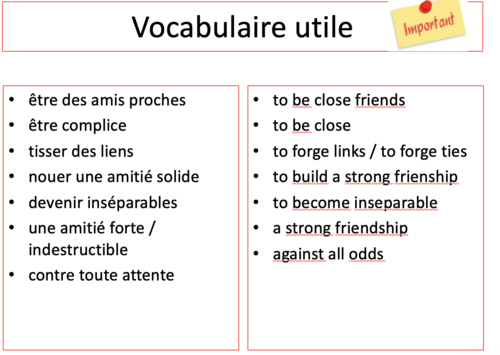 Intouchables - les thèmes principaux | Teaching Resources