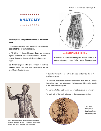 Human Body Display | Teaching Resources
