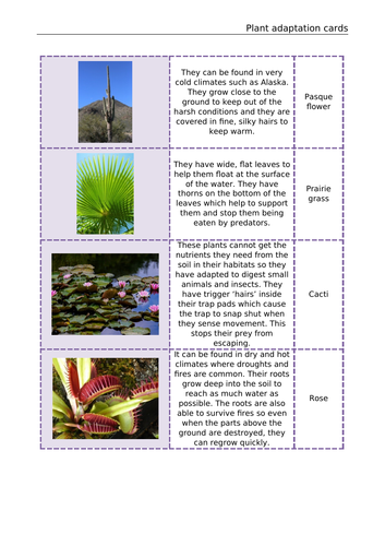 Evolution and Inheritance - plant adaptation Year 6 | Teaching Resources