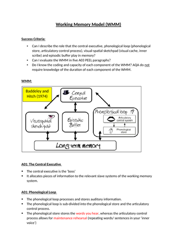 AQA A Lvl Memory handout/revision notes | Teaching Resources AQA A Lvl Memory handout/revision notes | Teaching Resources