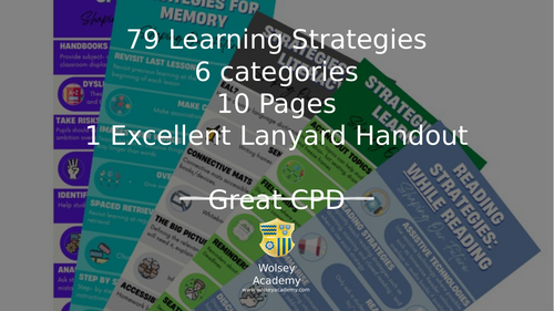 Learning Support/SEN lanyard resource - 79 strategies, 1 great CPD ...