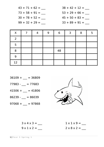 Year 5 Mental Maths workbook collection | Teaching Resources