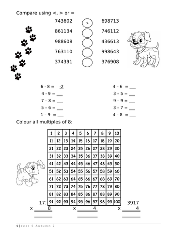 Year 5 Mental Maths workbook collection | Teaching Resources