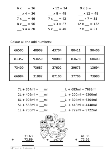 Year 6 Mental Maths workbook collection | Teaching Resources